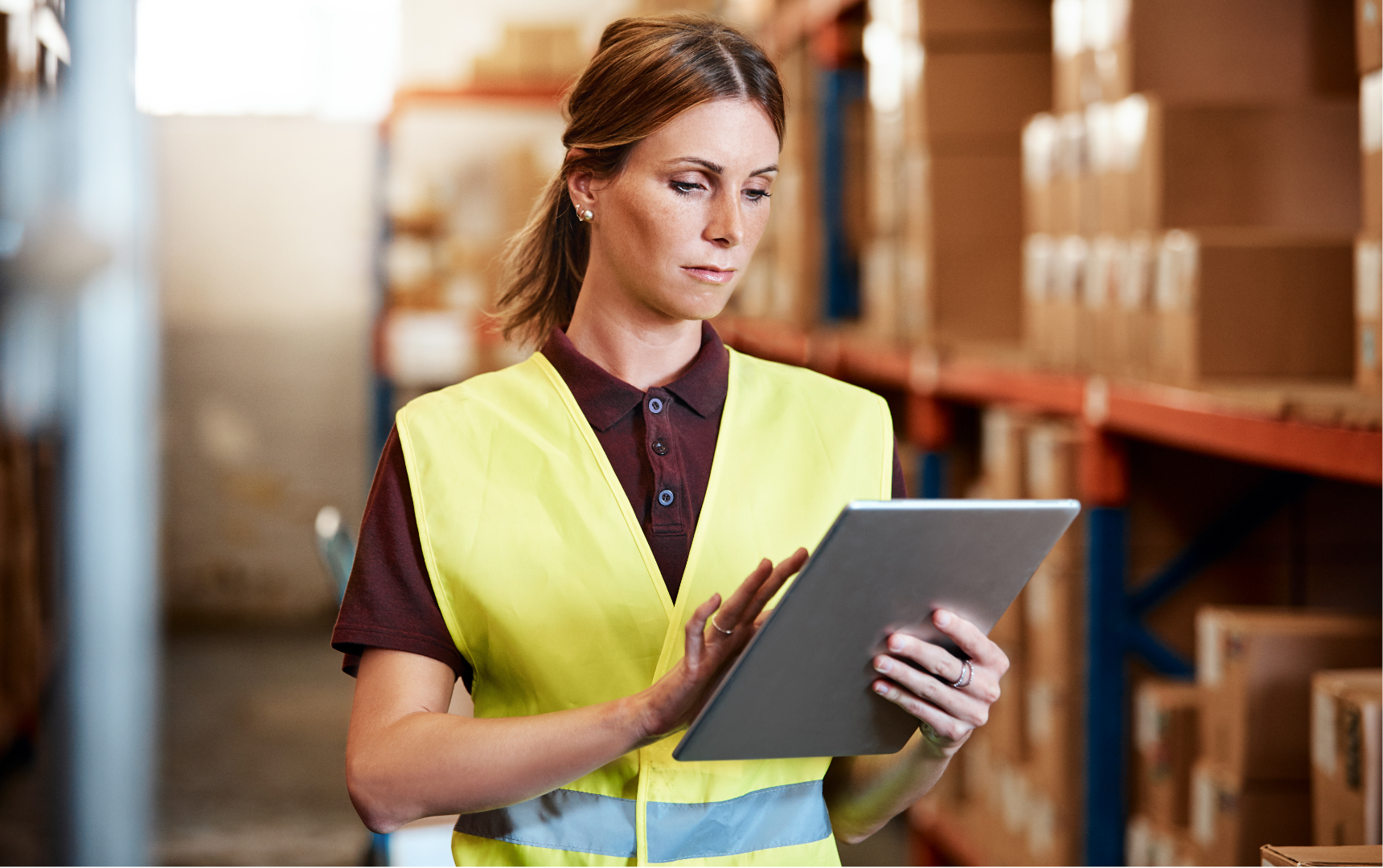 Logistics & Supply Chain Management - LCFP